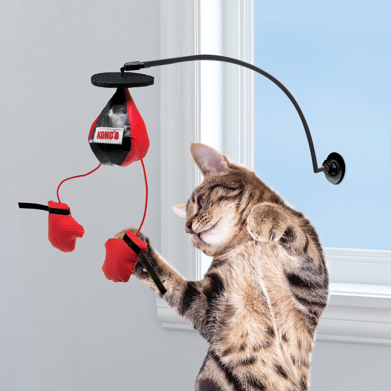 Connects Window Boxing Dangling Cat Teaser, with Premium North American ...