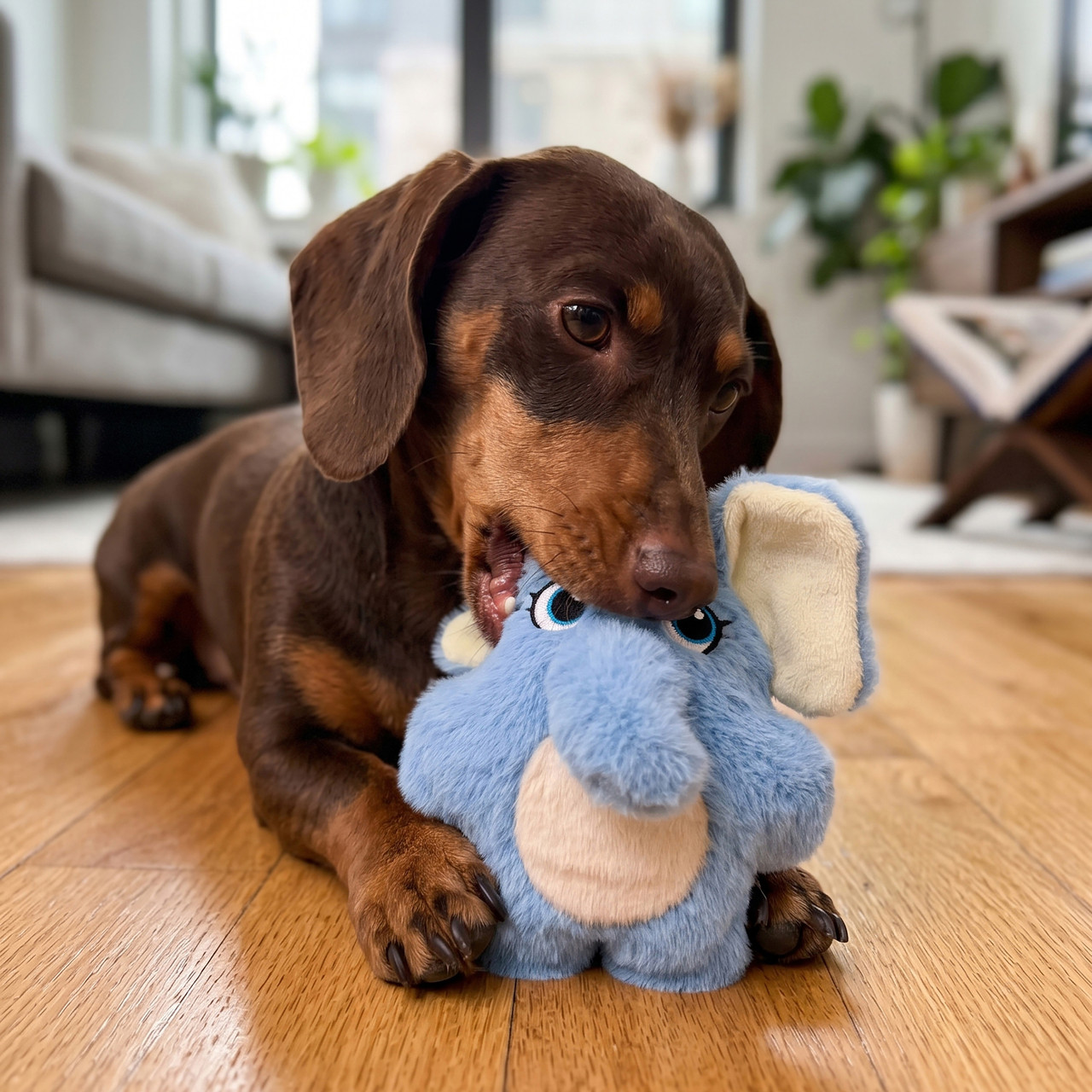 Snuzzles Kiddos Elephant, Plump Plush Dog Toy with Full Body Squeaker