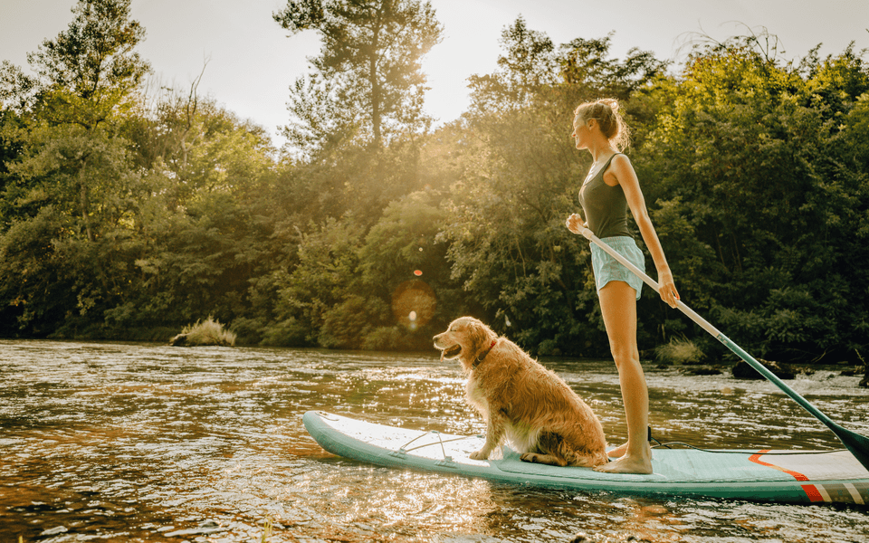 The Benefits of Stand-Up Paddle Boarding with Your Dog | KONG Company Store