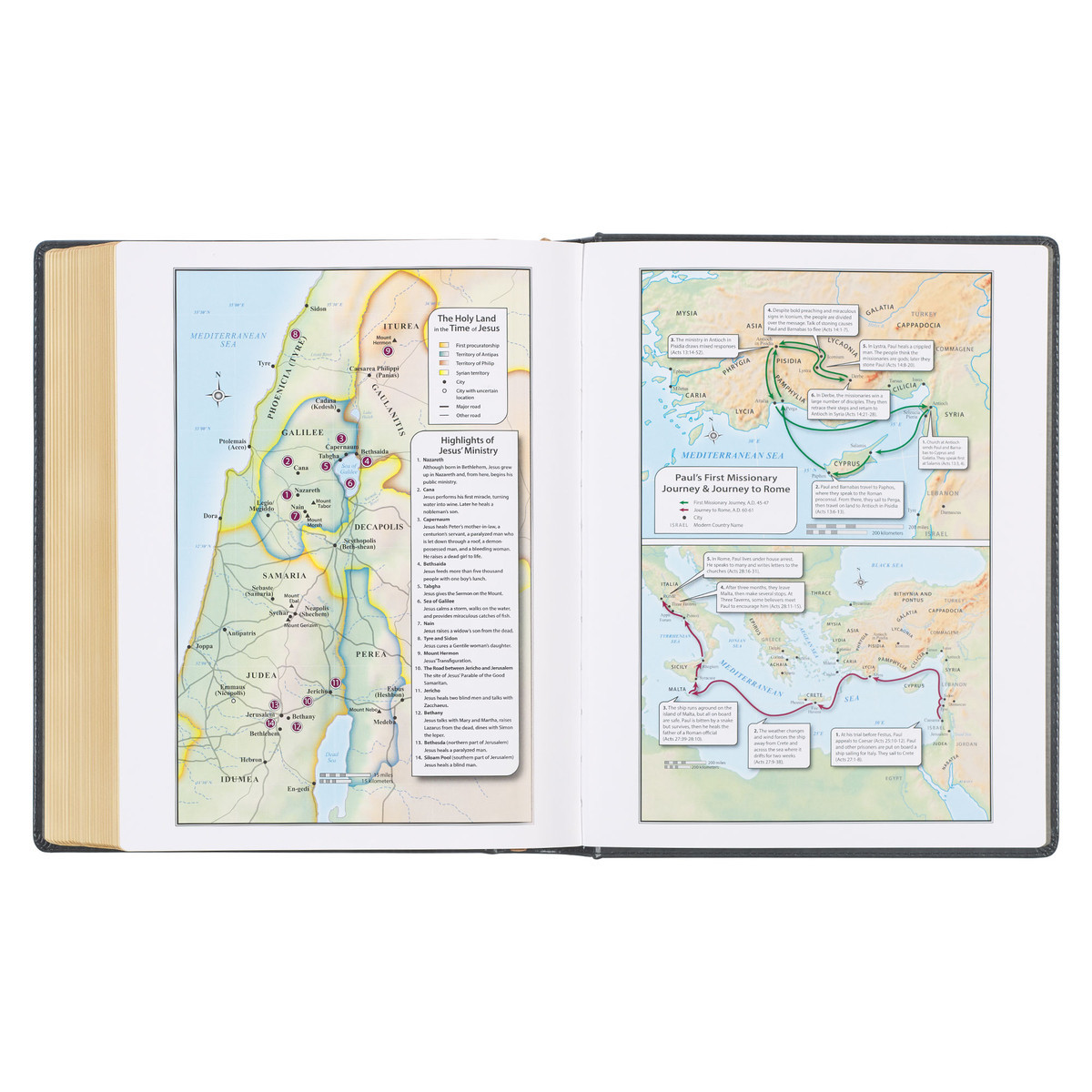 KJV Large Print Note-Taking Bible - Museum of the Bible Store