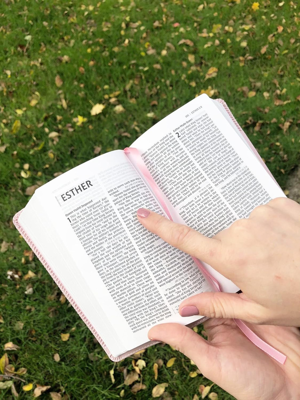 NIV Compact Reference Bible in Pink - Museum of the Bible Store