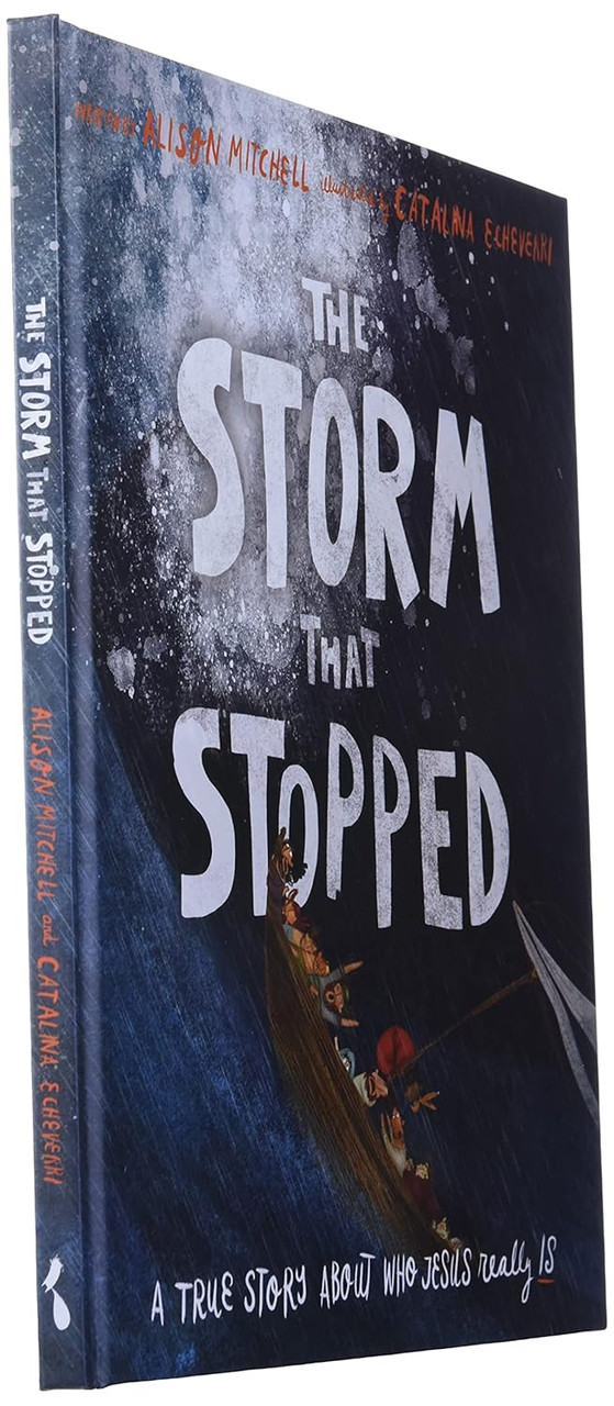 The Storm That Stopped (Tales That Tell the Truth) Book - Museum of the ...