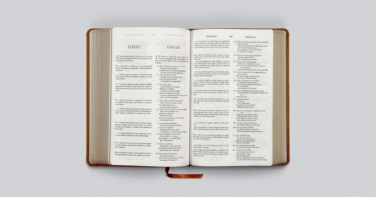 La Santa Biblia RVR / The Holy Bible ESV Trutone Brown - Museum of the ...