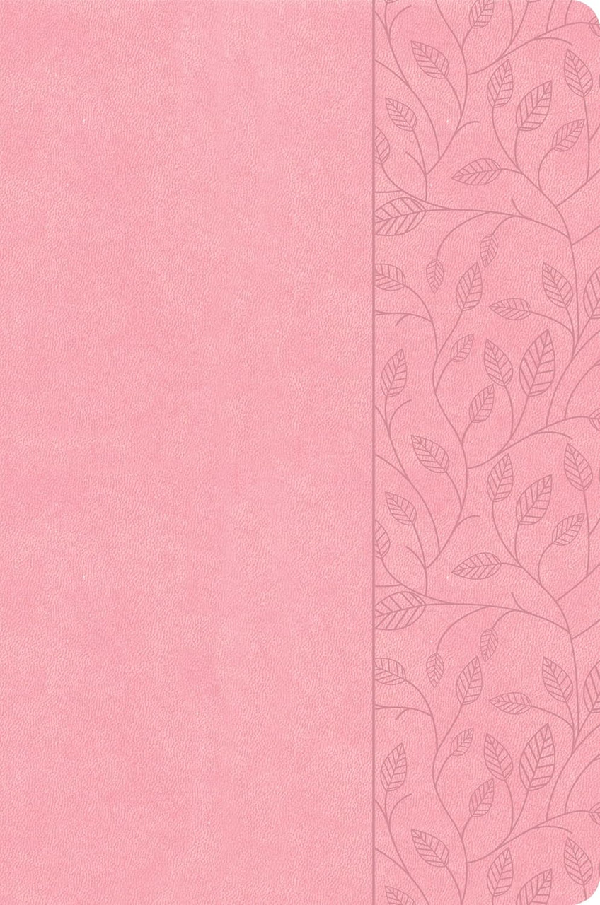 CSB Value Thinline Large Print Bible, Pink - Museum of the Bible Store