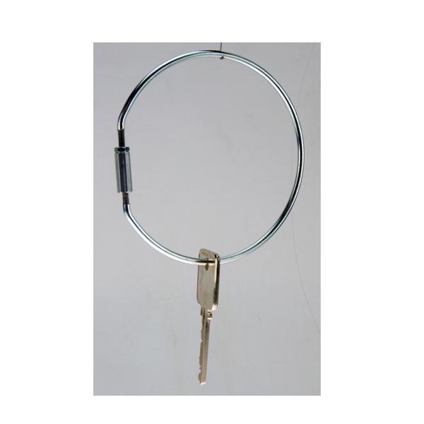 Shop for and Buy Threaded Locking 4 Inch Diameter Jumbo Keyring at ...