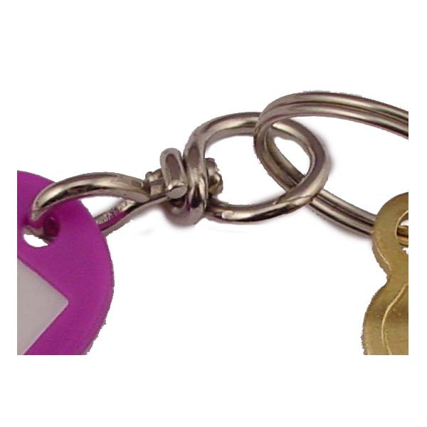 Shop for and Buy Key Identifier Tag Plastic Keytag with Swivel Key Ring ...