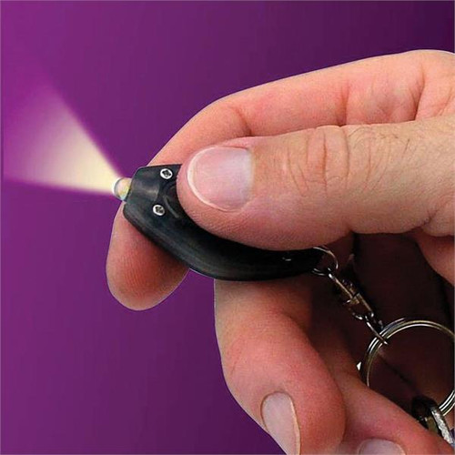 Shop for and Buy LED Squeeze Light Oval Shape at Keyring.com. Large ...