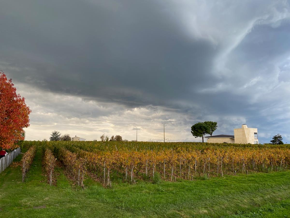 Pomerol vineyards in autumn – in pictures - Chateau Bauduc