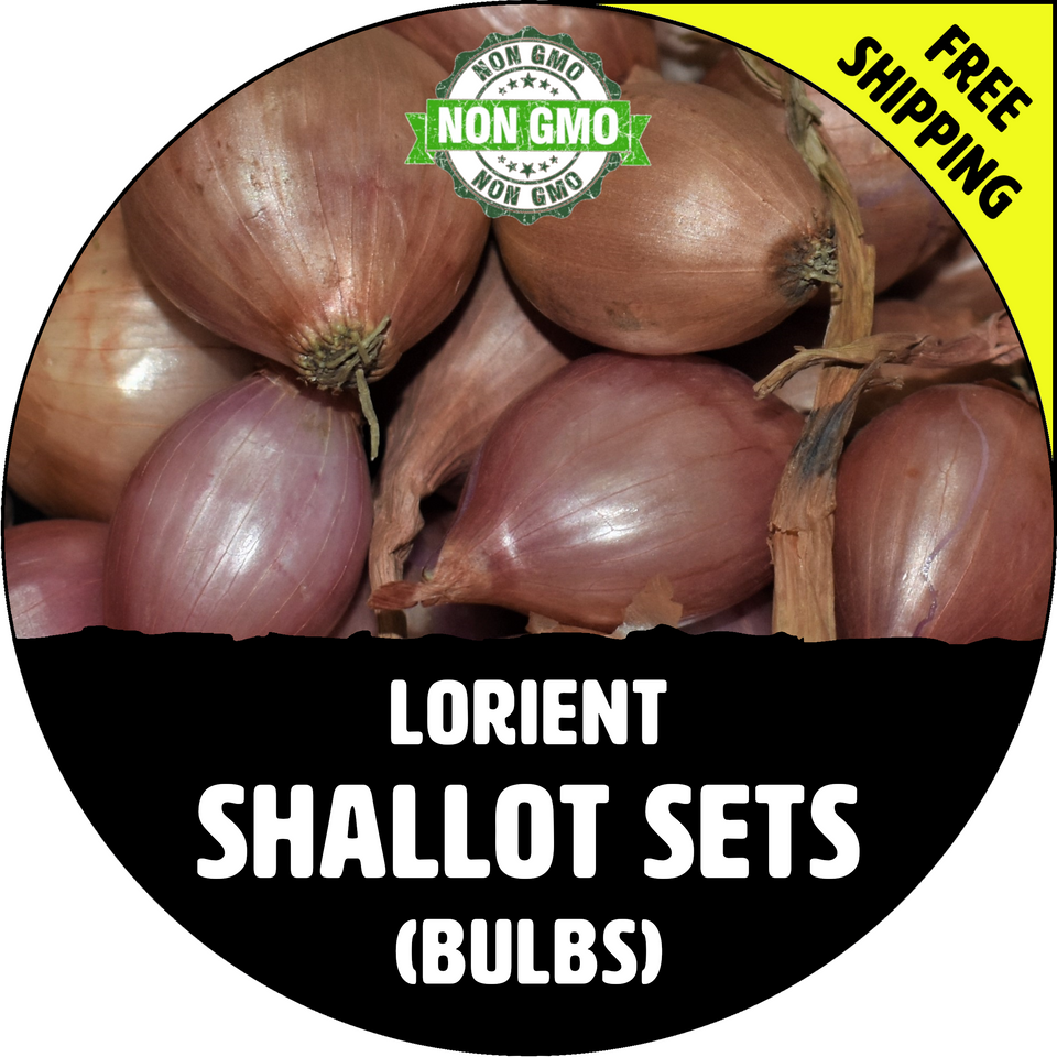 Organic Heirloom Gardens - Onion Sets, Shallot Sets, Garlic Bulbs, Seed ...