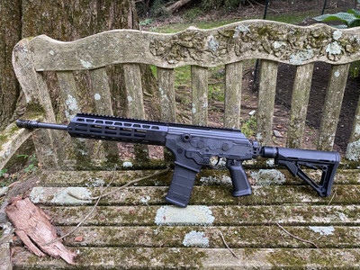 Experience Firepower Redefined with the IWI Galil ACE Gen 2 Rifle: 5.56 ...