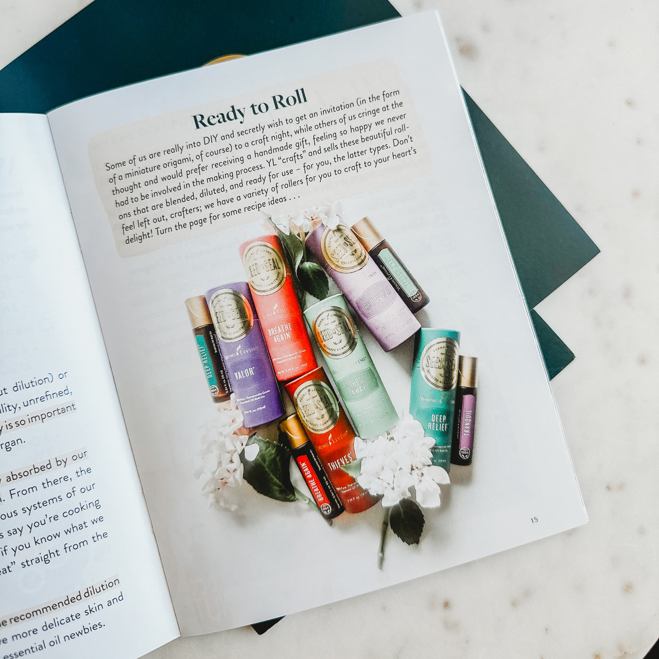 The Mini Essential Book - Growing Healthy Homes