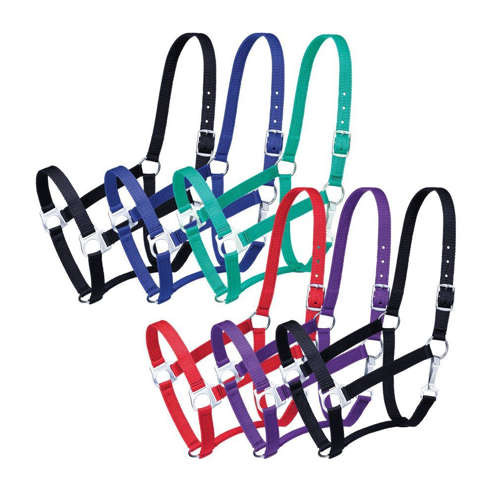 Nylon Pony Halter