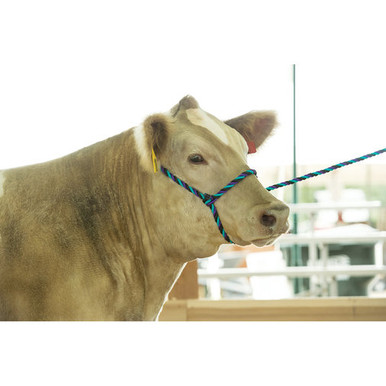 Weaver Poly Rope Cattle Halter