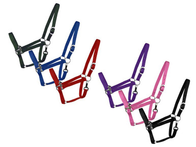Cob 2 ply halter