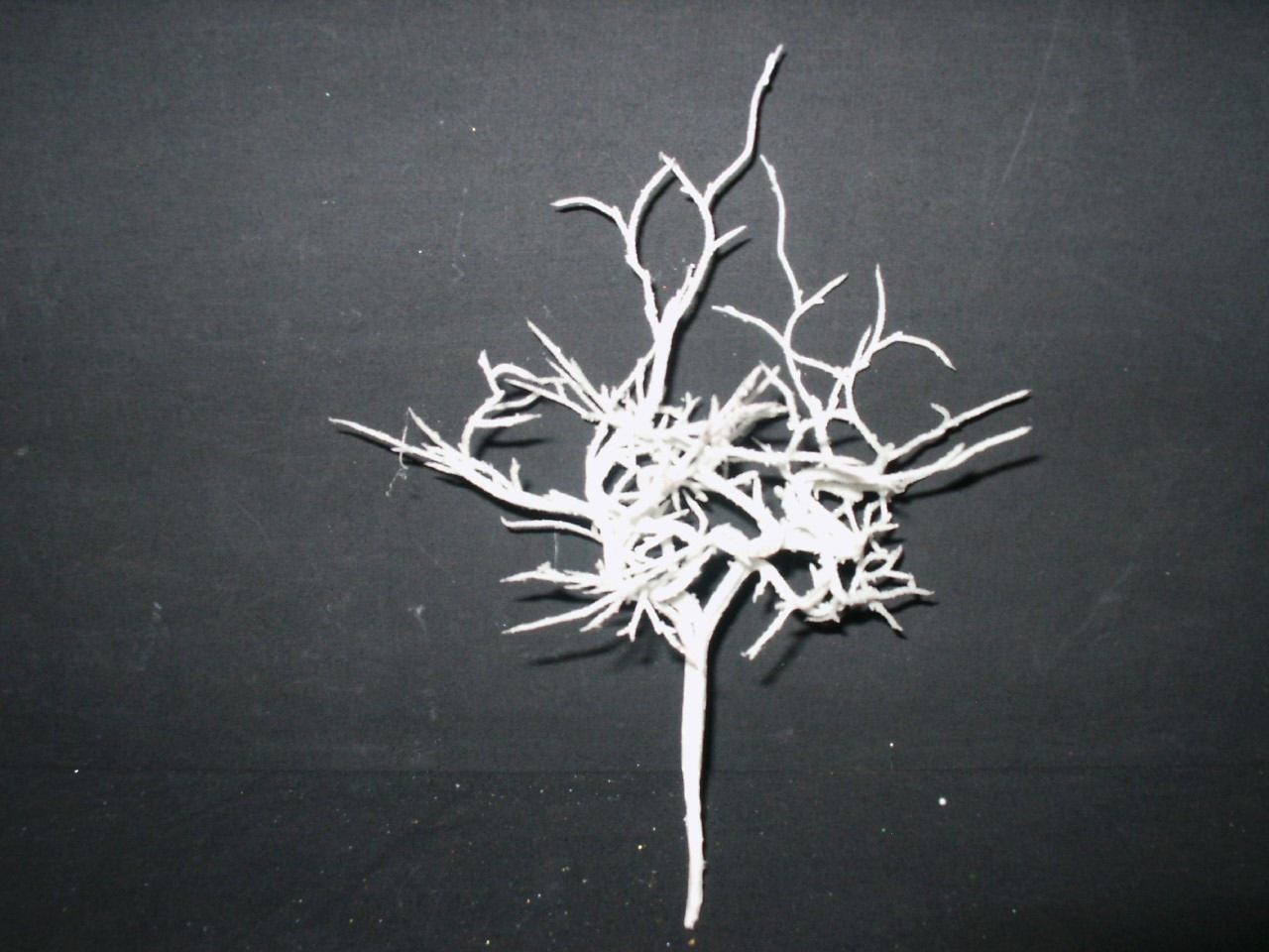 Coral Pick White - CB Gold