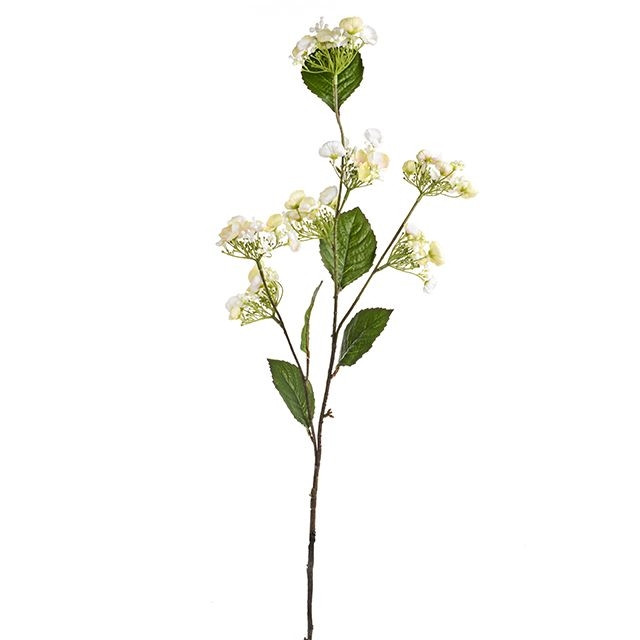 Hydrangea Spray Cream 81Cm - CB Gold