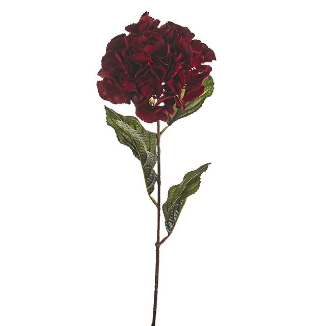 Clumber Red Hydrangea - CB Gold