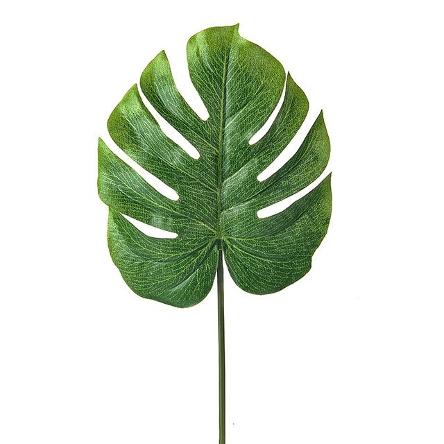 Leaf Split Philo 36Cm - CB Gold