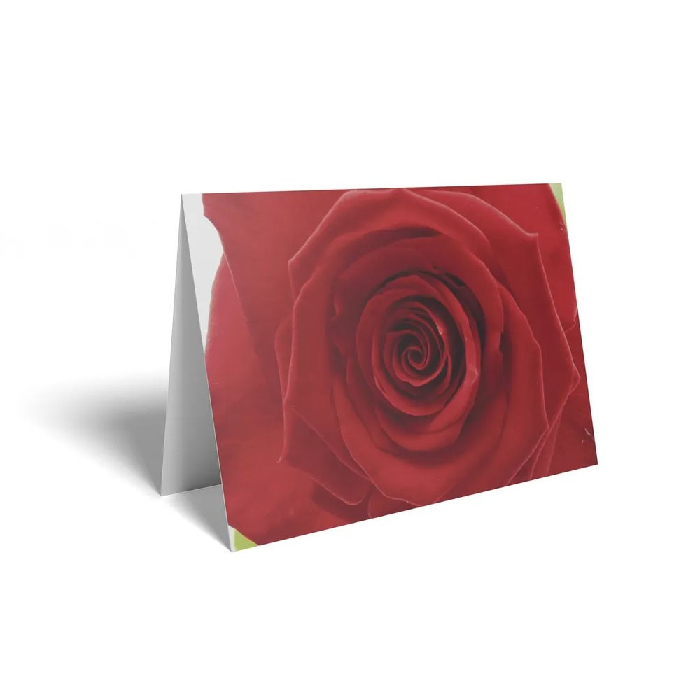 Folded Card Deep Red Rose - 10 x 7cm - Pack 25 - CB Gold