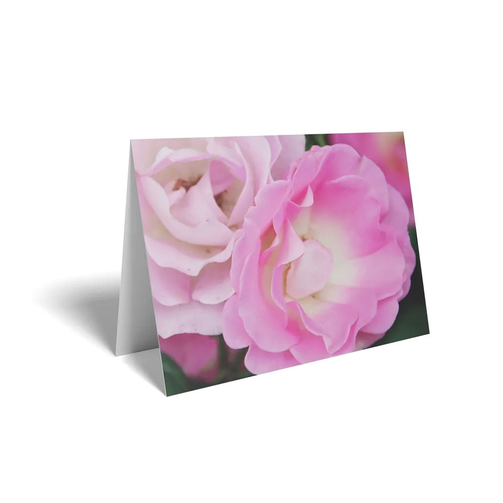 Folded Card Pink Roses - CB Gold