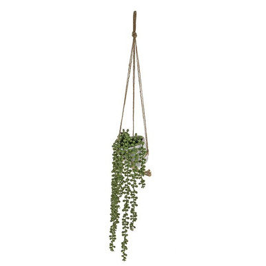 Potted String Of Pearl Hanging Plant 43Cm - CB Gold