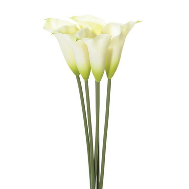 Calla Lily Bundle X5 Wh/Grn - CB Gold