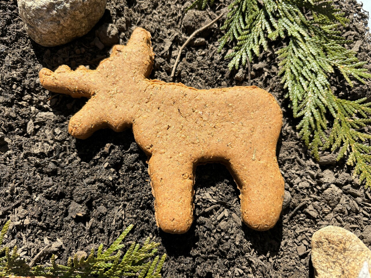 Large Shaped Cookie Sampler Pack - North Woods Animal Treats