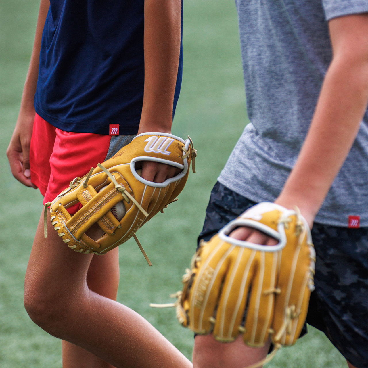 Acadia M Type V2 41A2 11" I Web