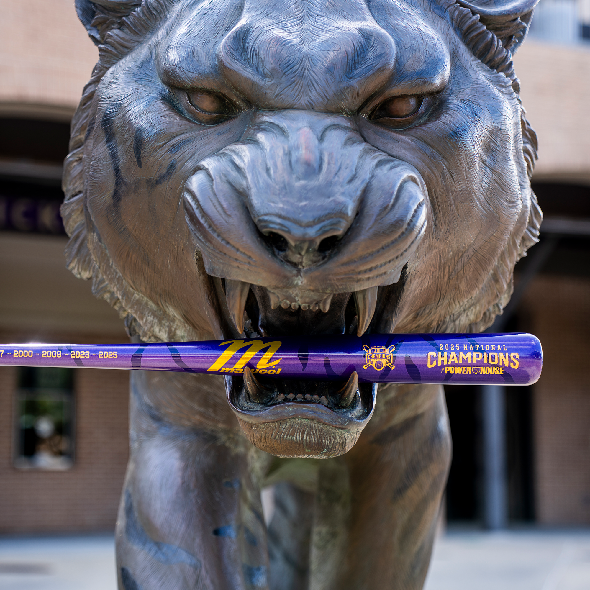 LSU Champions - The Powerhouse