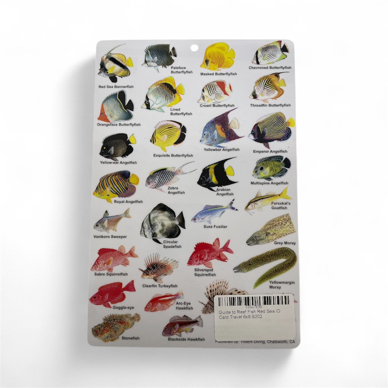 Guide to Reef Fish Red Sea ID Card Travel 6x9 BK17 - Coral Sea Scuba ...