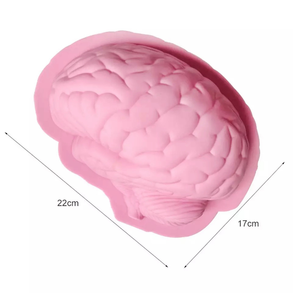 Brain silicone Mold - Christines Molds