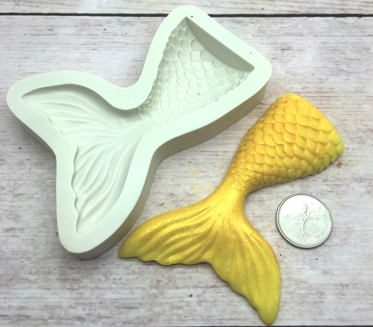 Sea Shell Mold -PM424 - Christines Molds