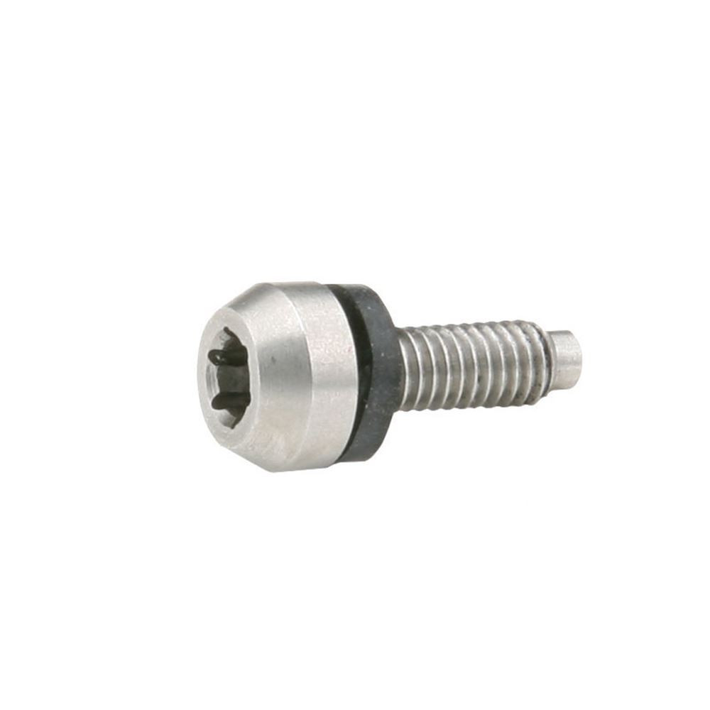 TaylorMade Adaptor Screw - The GolfWorks