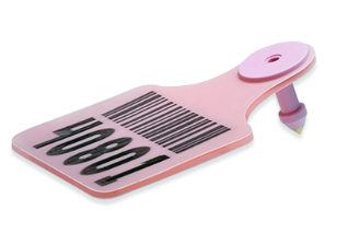 Avery Dennison Smartrac Web RFID Paper Tag | Monza R6-P | atlasRFIDstore