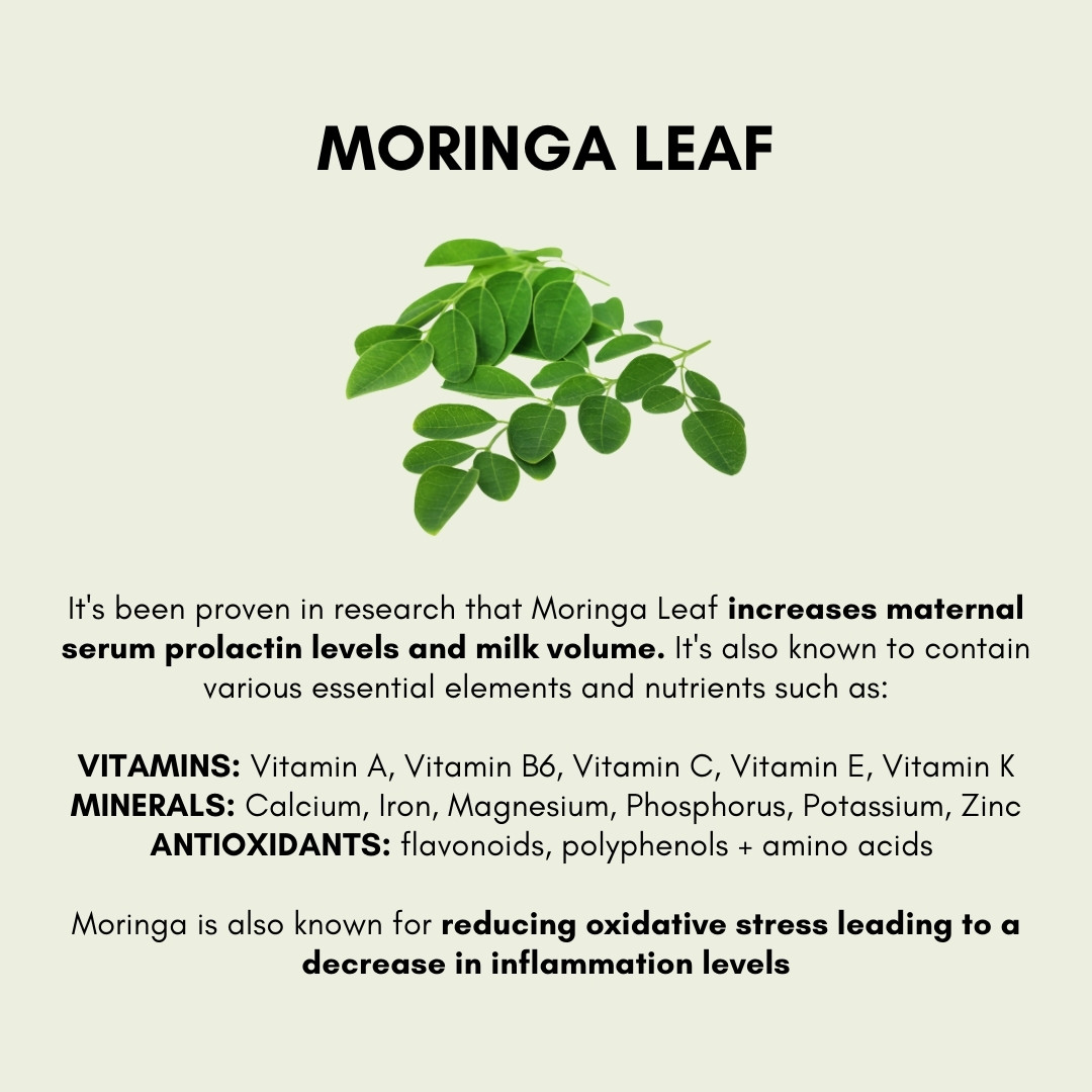 MilkWorks IR+ Blend for Optimal Milk Production