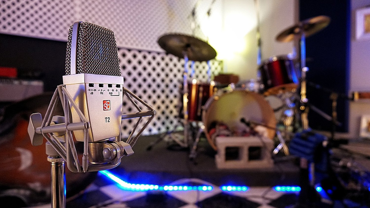 sE Electronic T2 Microphone