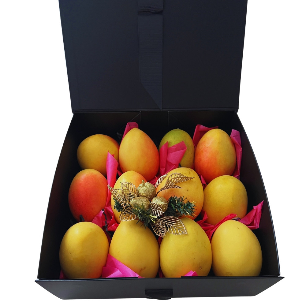 Christmas Mango Gift Box – 12 Juicy Mangoes in Luxury Packaging