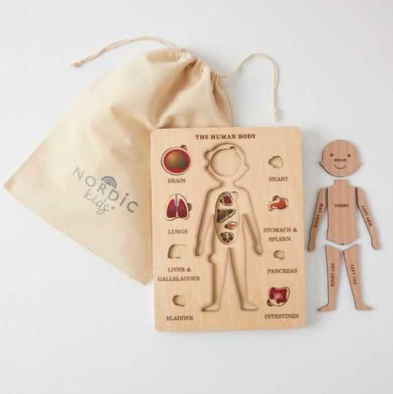 Wooden Human Body Puzzle