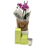 Plant Gifts: Unique and Sentimental Gifts for Plant Lovers
