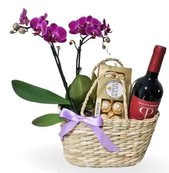 Plant Gifts: Unique and Sentimental Gifts for Plant Lovers