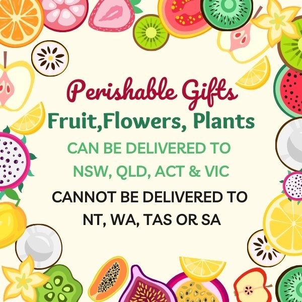 Plant Gifts: Unique and Sentimental Gifts for Plant Lovers