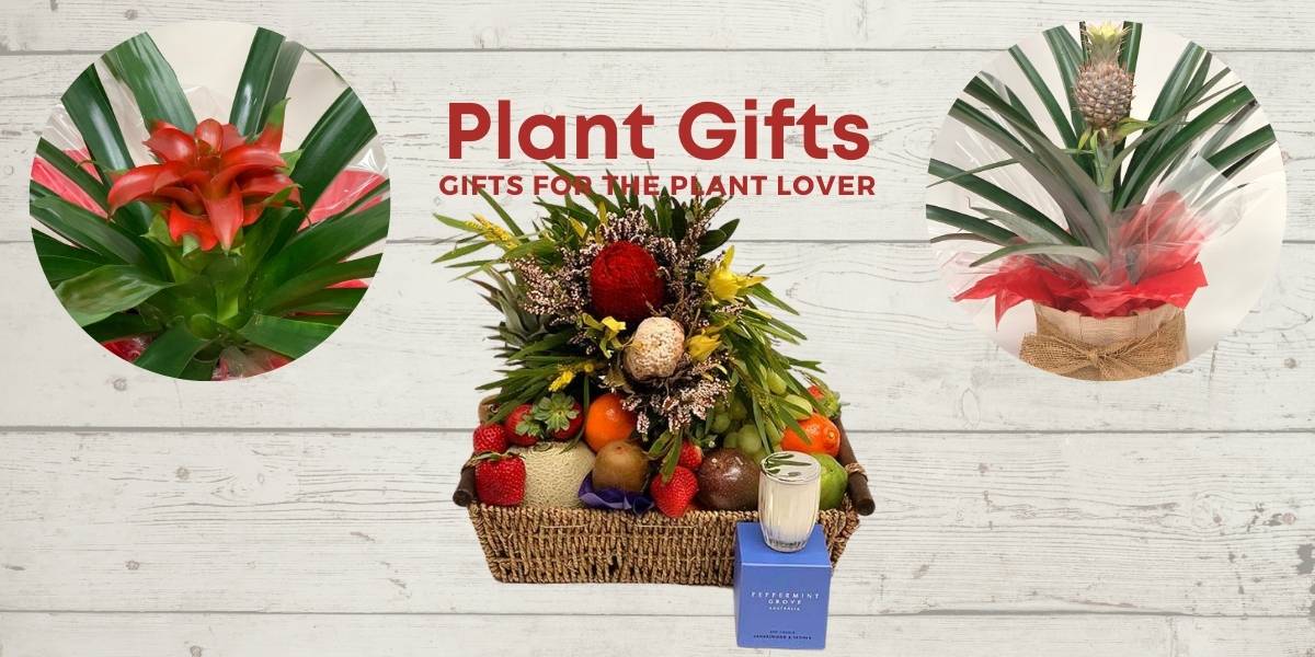 iGift® - Exceptional Gift Fruit Baskets & Gift Hampers