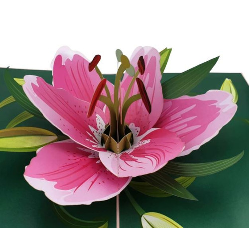 Pop Up Cards - Pink Lily Flower