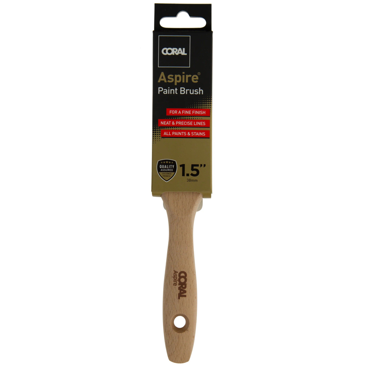 Coral Aspire 1" Paint Brush