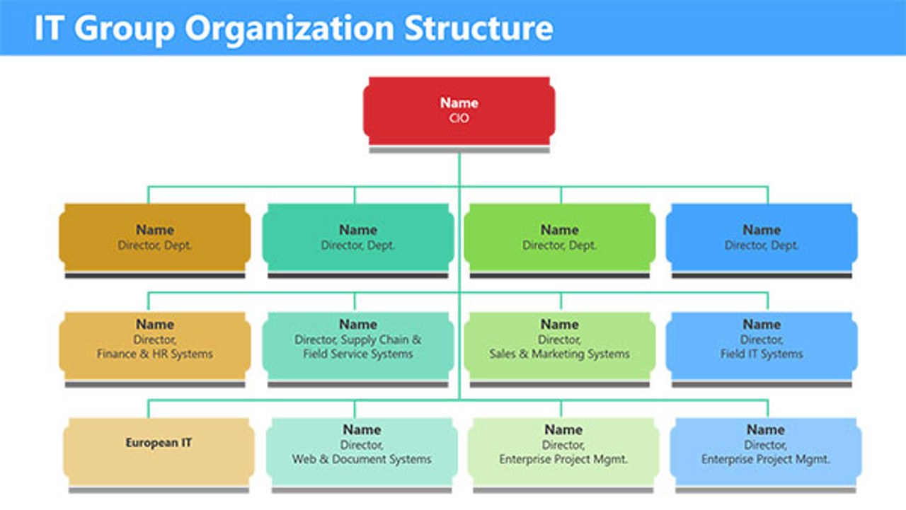 IT Group Organization Structure