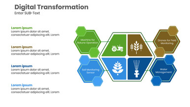 Digital Transformation - Agricultural Farm - 4 Steps