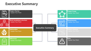 Executive Summary - 8 rectangular sections with icons