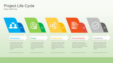 Project life cycle