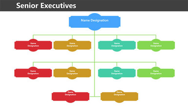 Senior Executives - reporting - rectangles with circle behind