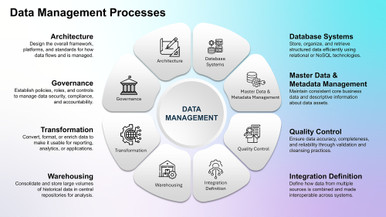DATA MANAGEMENT PROCESSES Header